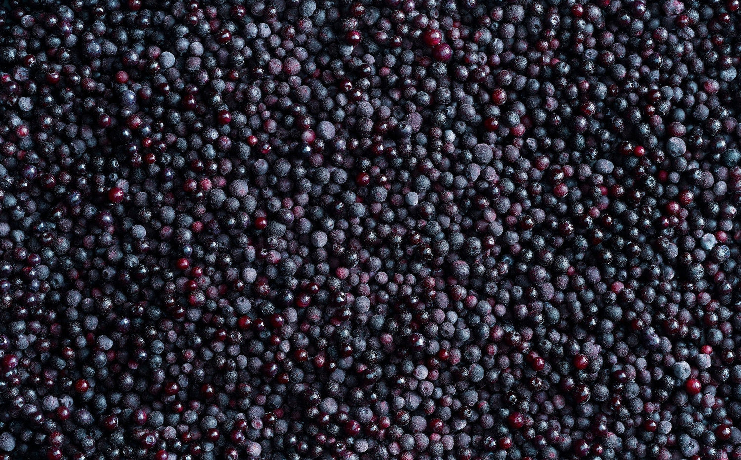 Shop Wyman's Frozen Fruit Collection for Fresh, Nutritious Snacks
