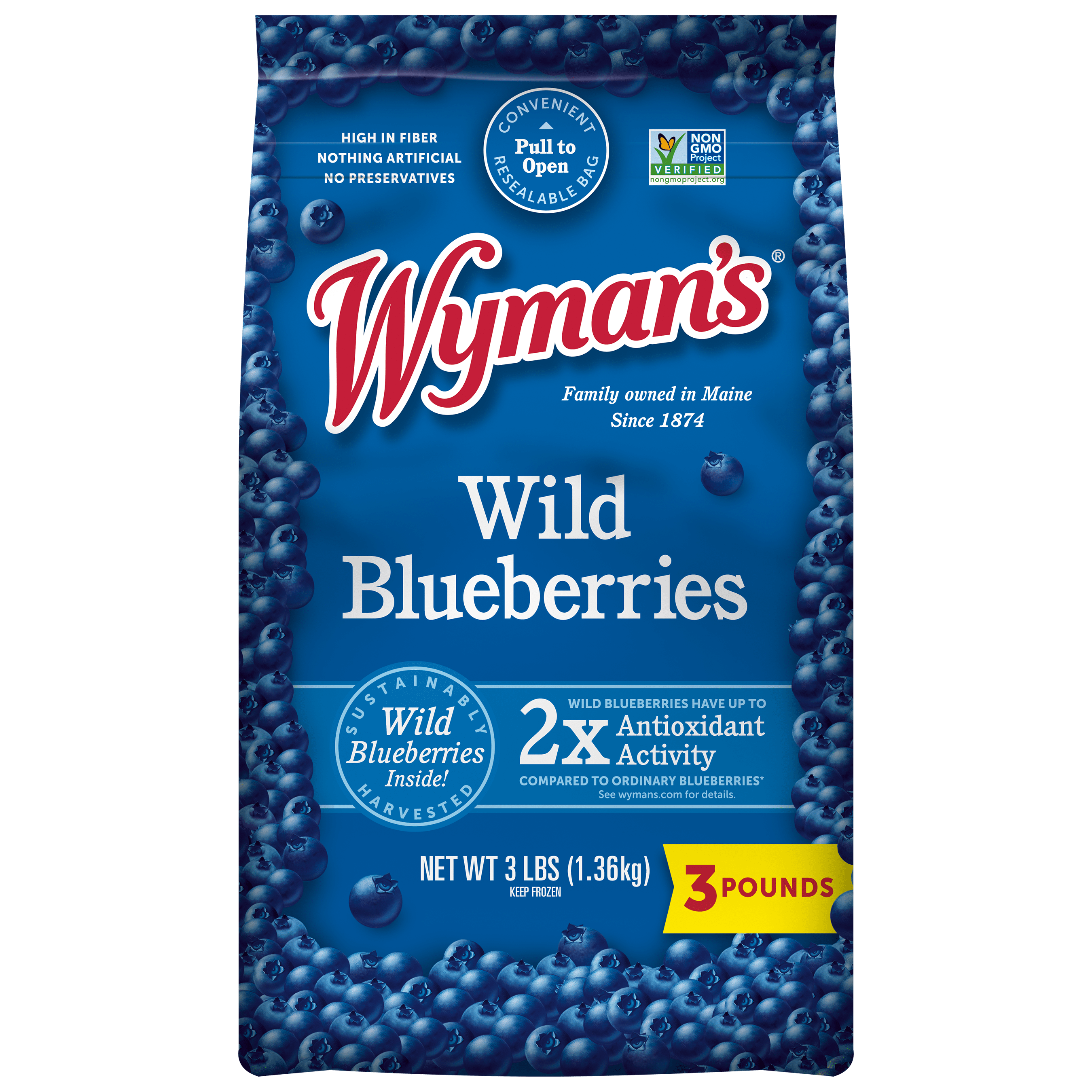 Wild Blueberry Gin and Tonic Recipe | Wyman's
